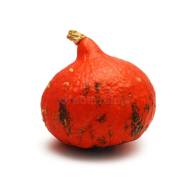 Red pumpkin stock image. Image of nutrition, ornamental - 17122887
