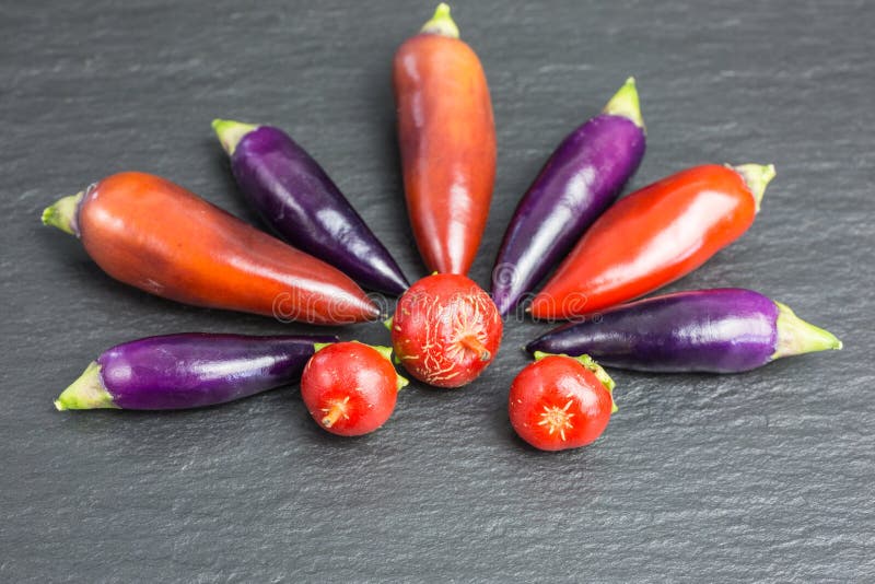 Chili pepper stock image. Image of ball, sphere, purple - 191698841