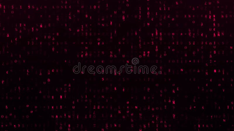 Red Purple Falling Matrix Digital Rain - Loop Animation Background ...