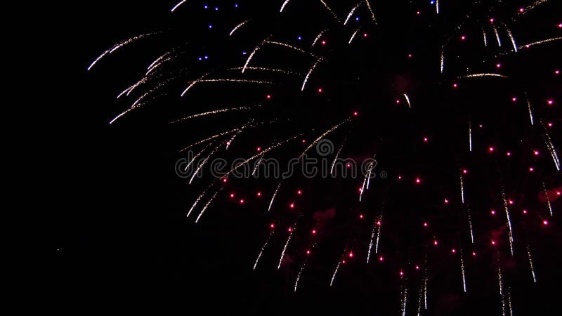 Red and Purple Firework Flowers on a Black Night Sky Stock Footage ...