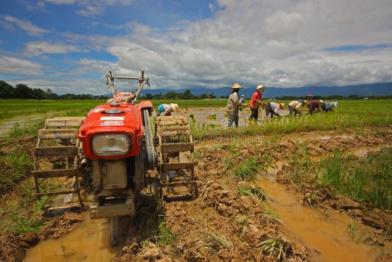 Pushcart,tractor Agriculture Dig the Ground Plant a Tree. Stock Photo ...