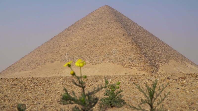 Red Pyramid. the Red Pyramid, Also Called the North Pyramid, is the ...
