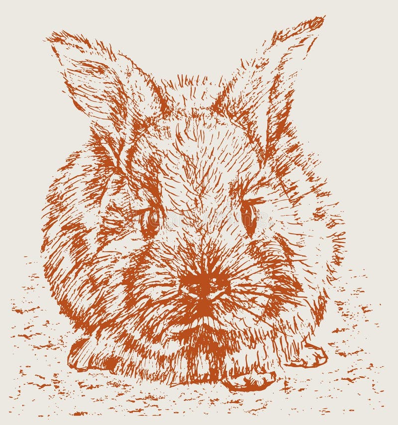 Red rabbit stock vector. Illustration of fluffy, drawn - 46772521