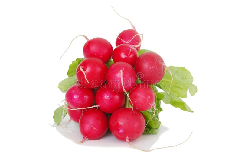 Raddish stock image. Image of raddish, harvest, food - 18926379