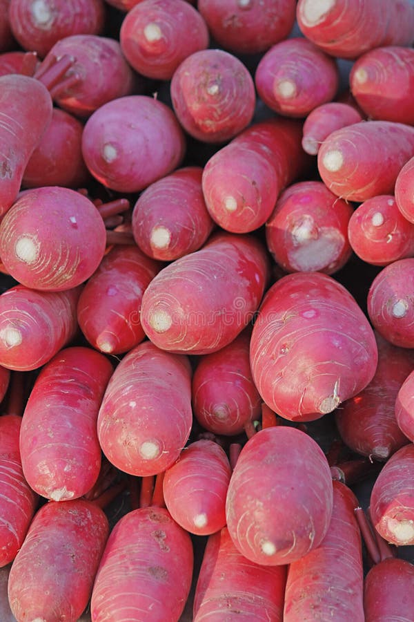 Red Raddish in a Market Stall Stock Image - Image of sell, abundance ...