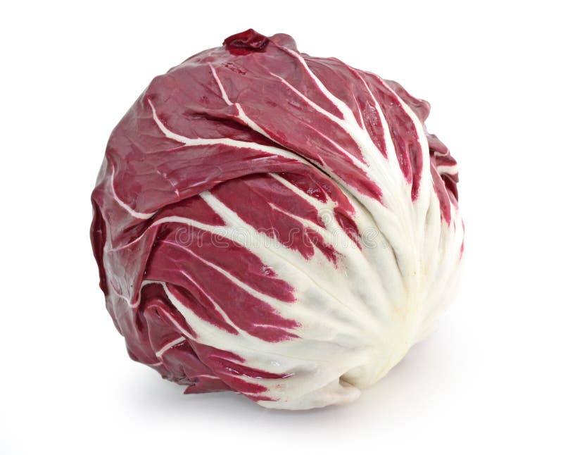 Head of radicchio salad stock image. Image of radicchio - 18252403