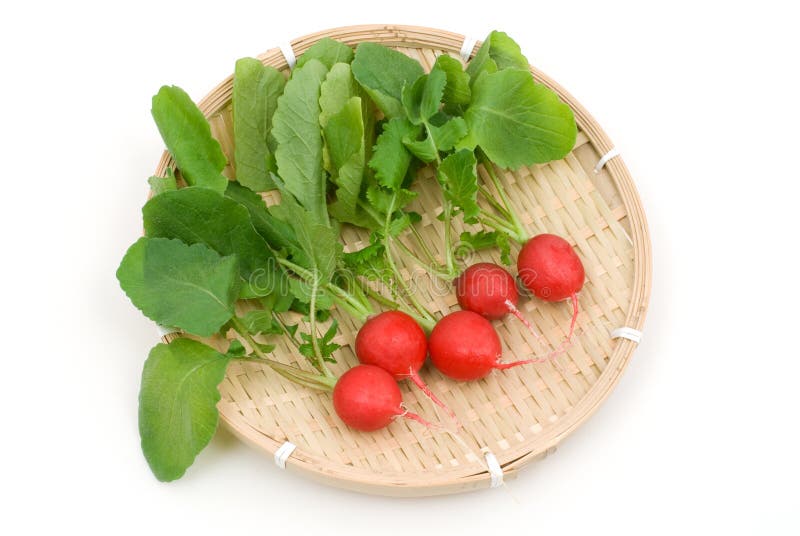Red radish stock image. Image of color, salad, sieve - 19865917