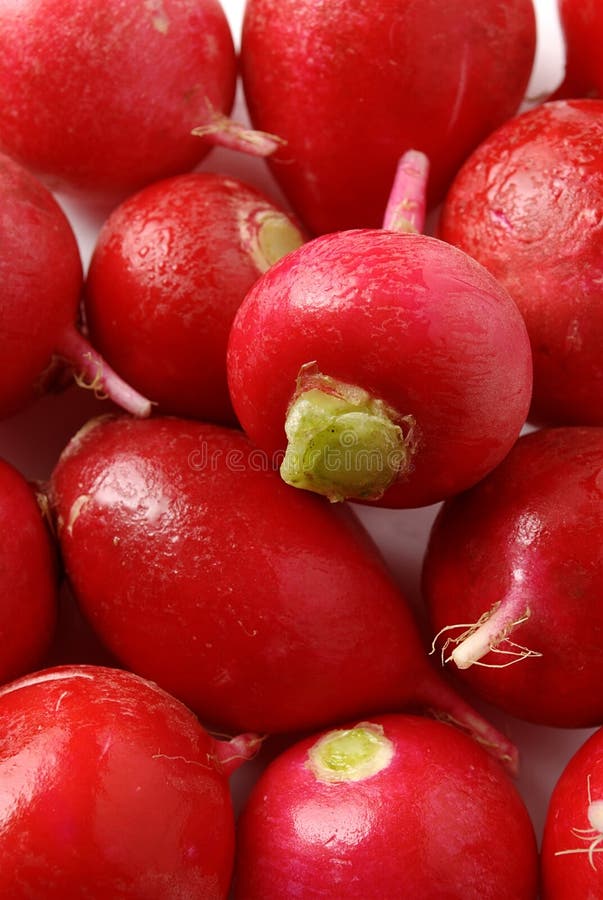 Red radish stock image. Image of organic, food, summer - 24518035