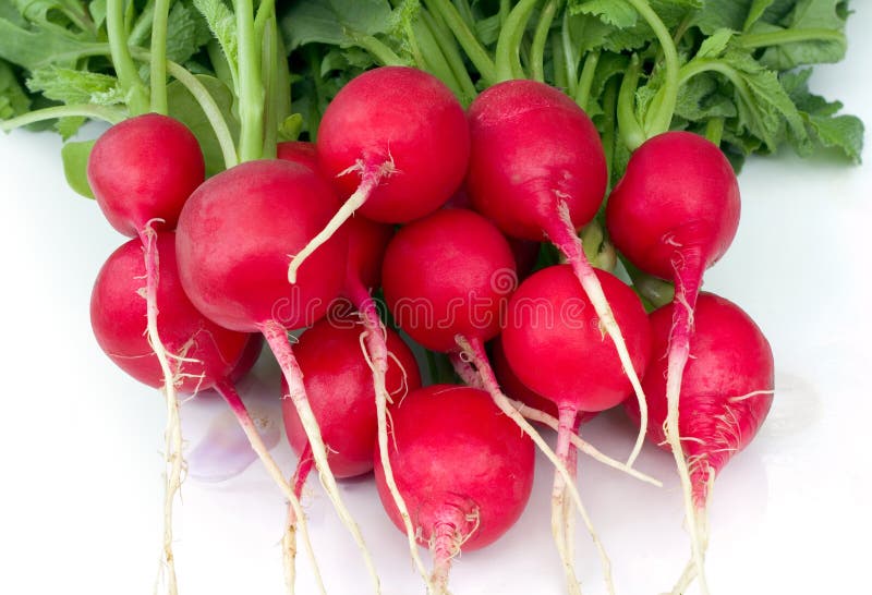 Red Radish stock image. Image of plant, bundle, agriculture - 25056151
