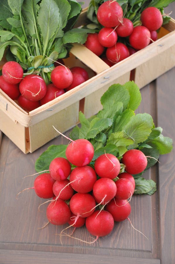 Red Radish stock image. Image of nature, group, harvest - 29290107