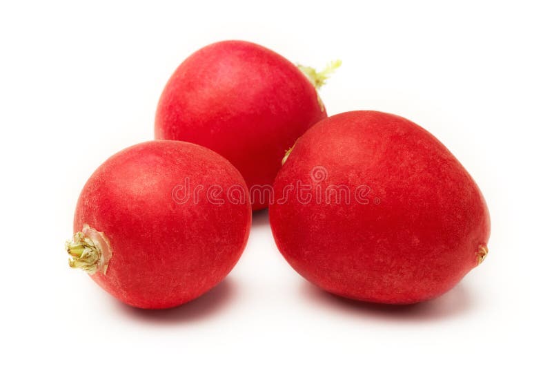 Red radish stock image. Image of root, healthy, vegetarian - 8394085