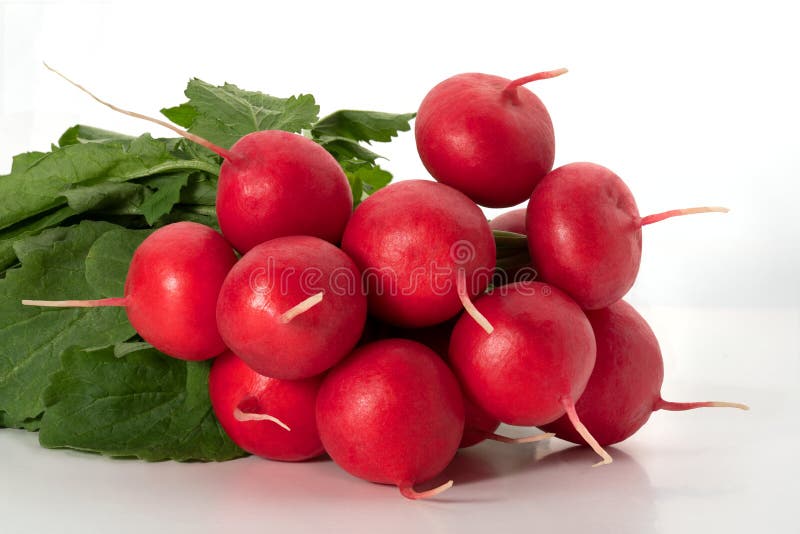 Radish Bunch with Dirt, in Hand Stock Image - Image of meal, nutrition ...