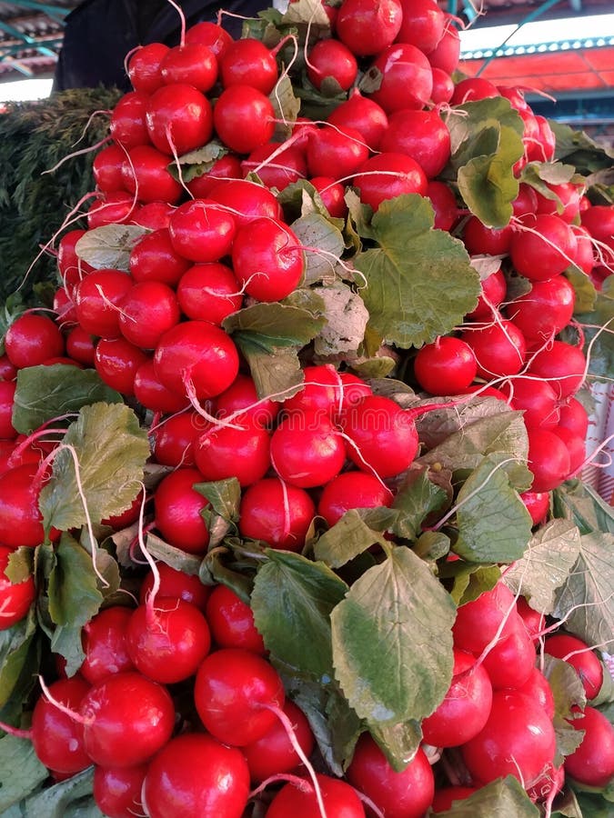 Radish Bunches Piled Pyramid on the Market Counter Stock Image - Image ...