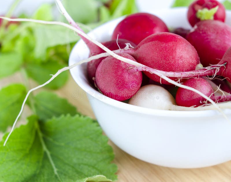 Red radish stock photo. Image of nature, group, bunch - 45880990