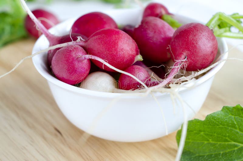 Red radish stock photo. Image of garnish, food, ingredient - 46337524