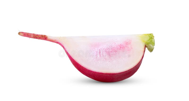 Red Radish Isolated on White Stock Photo - Image of healthy, fresh ...