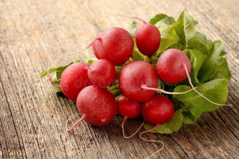 Red radish stock photo. Image of agriculture, plant, healthy - 38970678