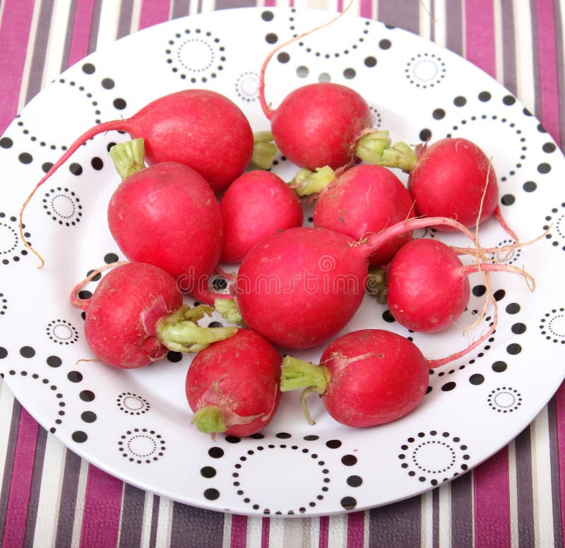 Red radish stock image. Image of produce, radish, vegetarian - 56419415