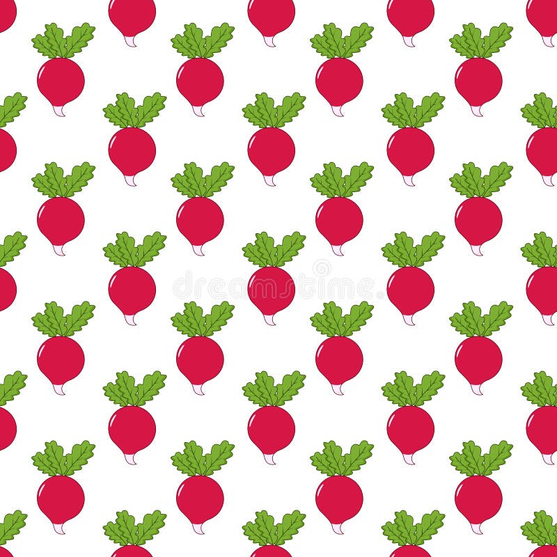 Red Radish Seamless Pattern on White Stock Vector - Illustration of ...