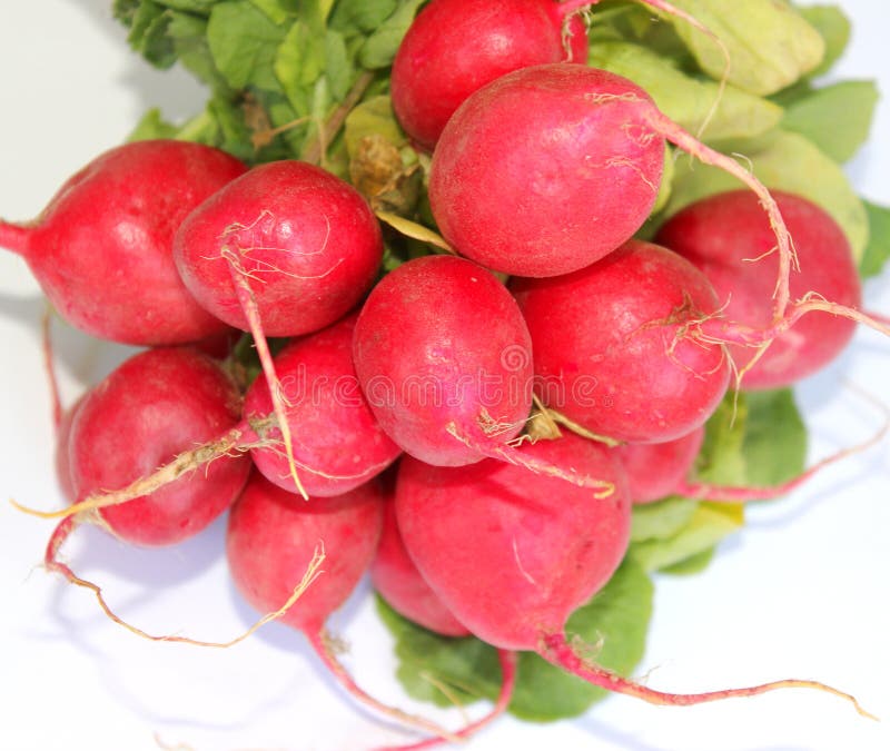 Red radish stock image. Image of radish, green, food - 32489823