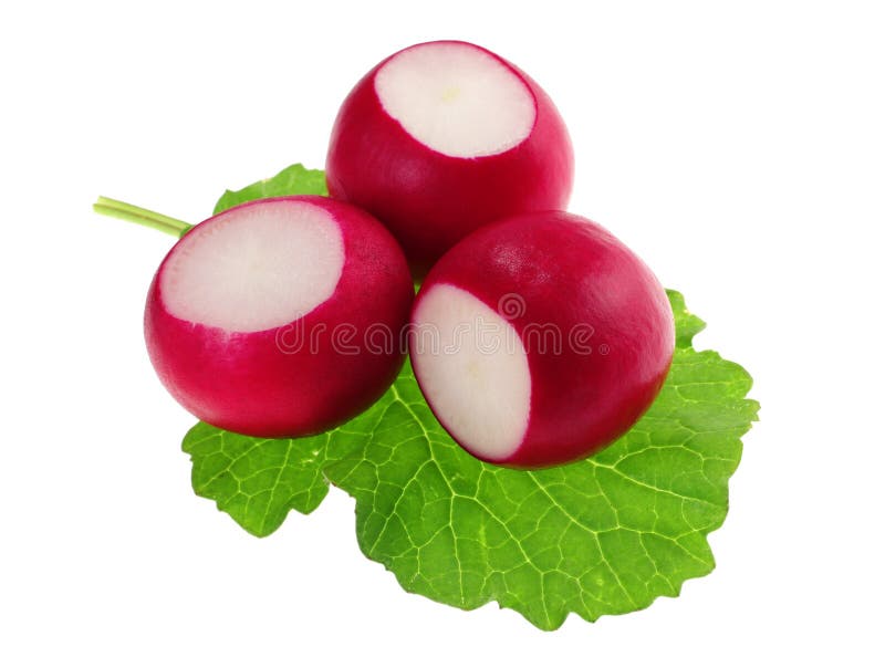 Red radish vegetable stock image. Image of fresh, organic - 5143279