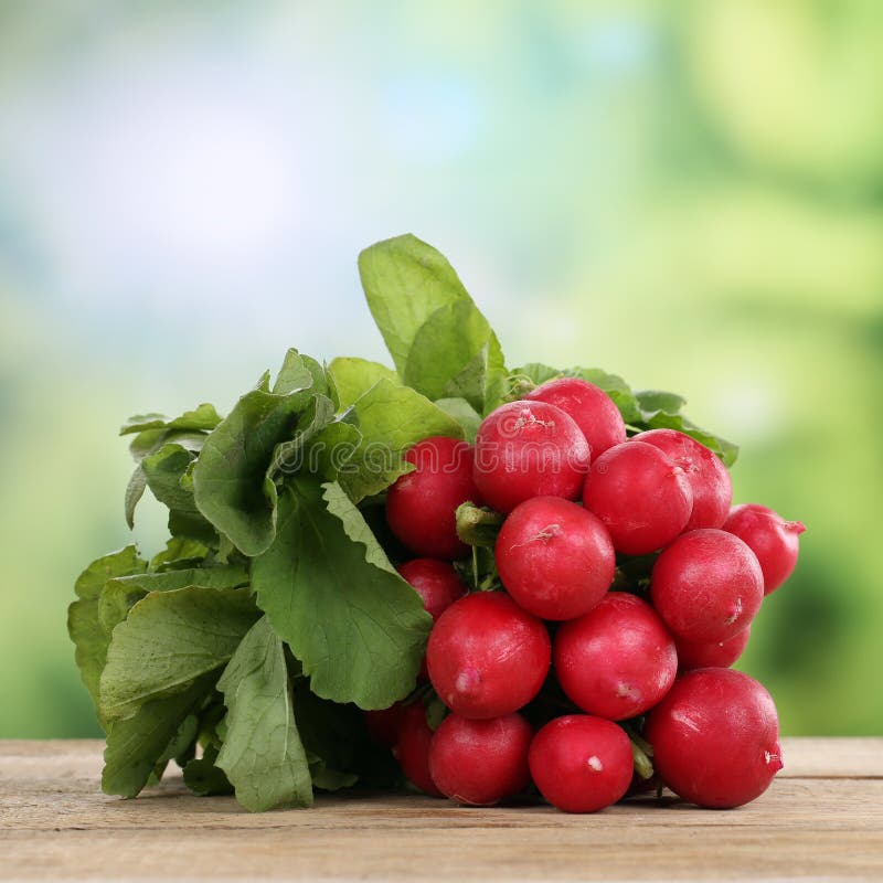 Red Radish Vegetables in Summer Stock Photo - Image of vegetable, vegan ...