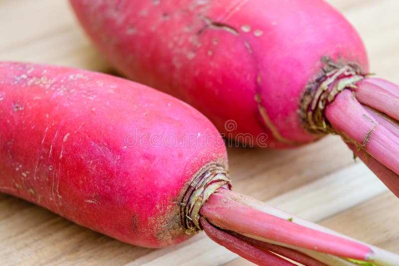 Red radish stock photo. Image of raphanus, produce, horizontal - 87494936