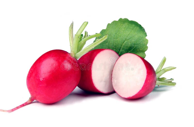 Red radishes stock image. Image of leaf, radishes, sprout - 11928213
