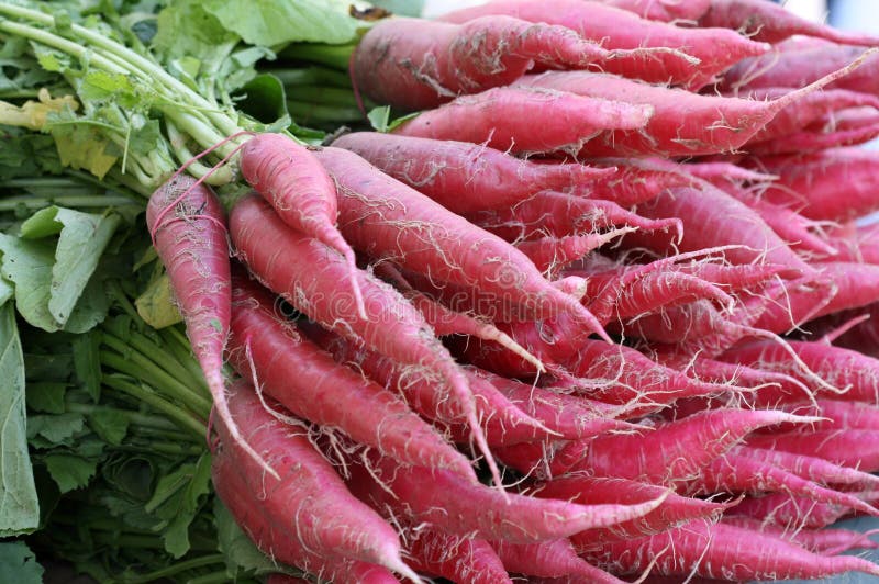 Red radishes stock image. Image of radish, bunch, market - 13332661