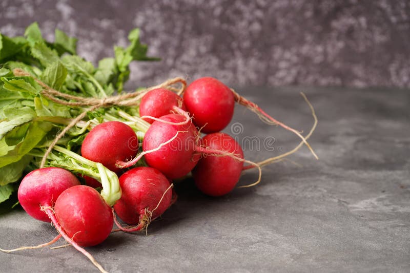 Red Radishes Bunch on a Grey Background,space for Text. Close-up Stock ...