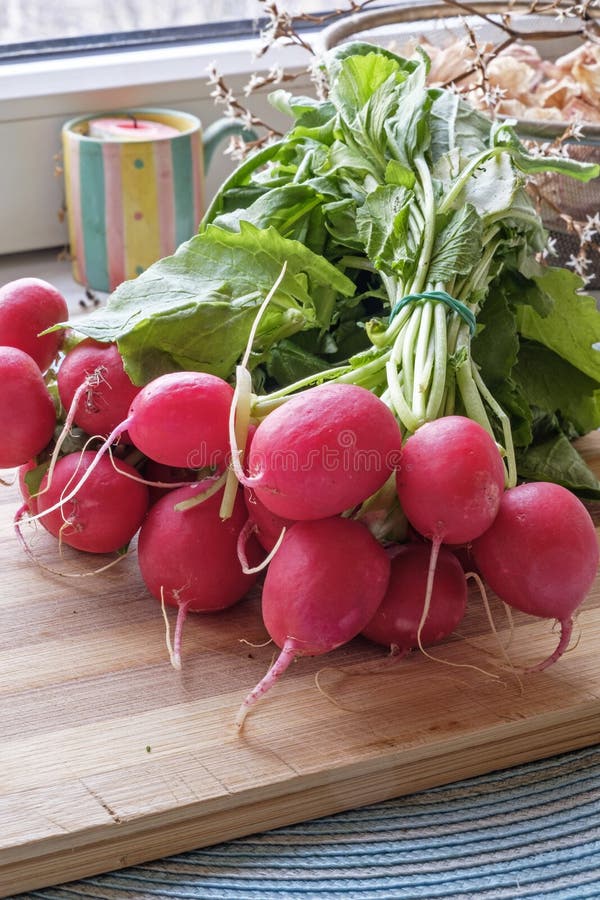 Red Radishes Bundle Portrait Side Wide Stock Image - Image of salad ...