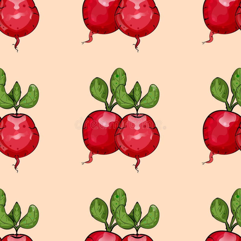Red Radishes Seamless Texture Stock Illustrations – 69 Red Radishes ...