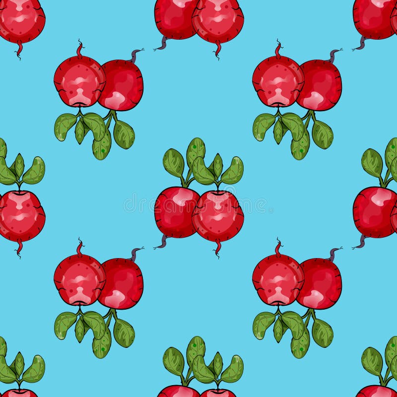 Red Radishes Seamless Texture Stock Illustrations – 69 Red Radishes ...
