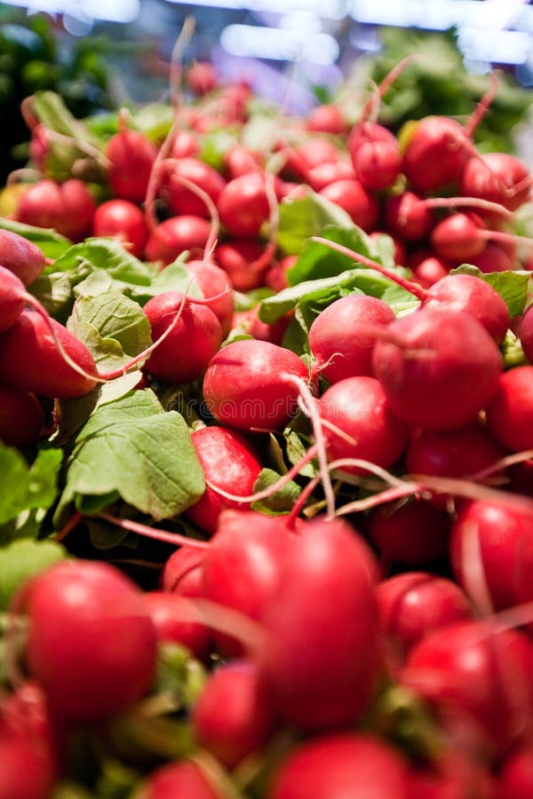 Red radishes in stock image. Image of grocer, green, ripe - 52772939