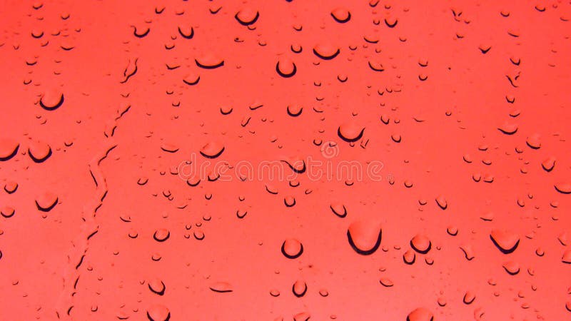 Red Rain Water Drops Background Stock Video Footage - Video of liquid ...