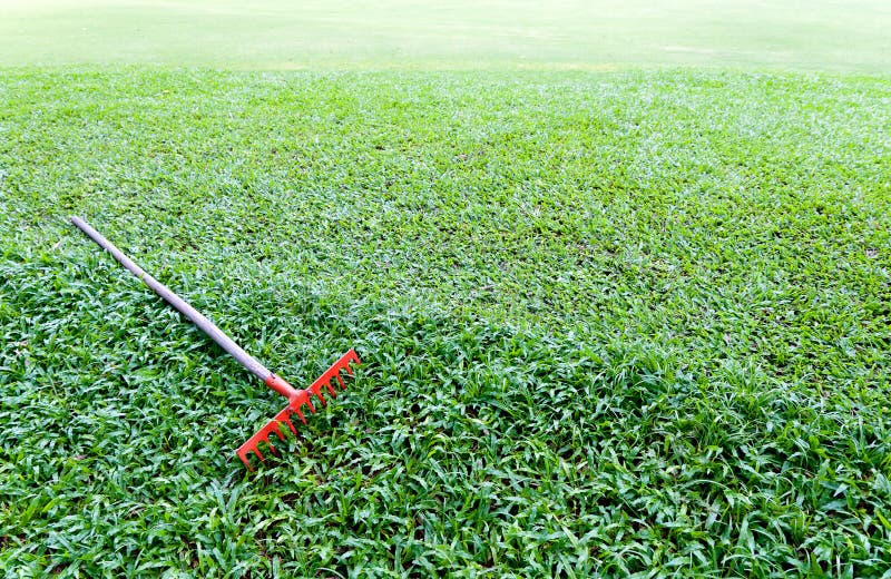 Red rake stock image. Image of sharp, score, field, fairway - 28817987