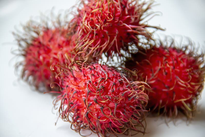Red Rambutan Tropical Fruit with Spikes Stock Photo - Image of fruit ...