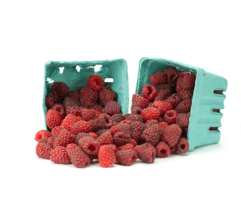 Red raspberries stock photo. Image of organic, sweet - 20586088