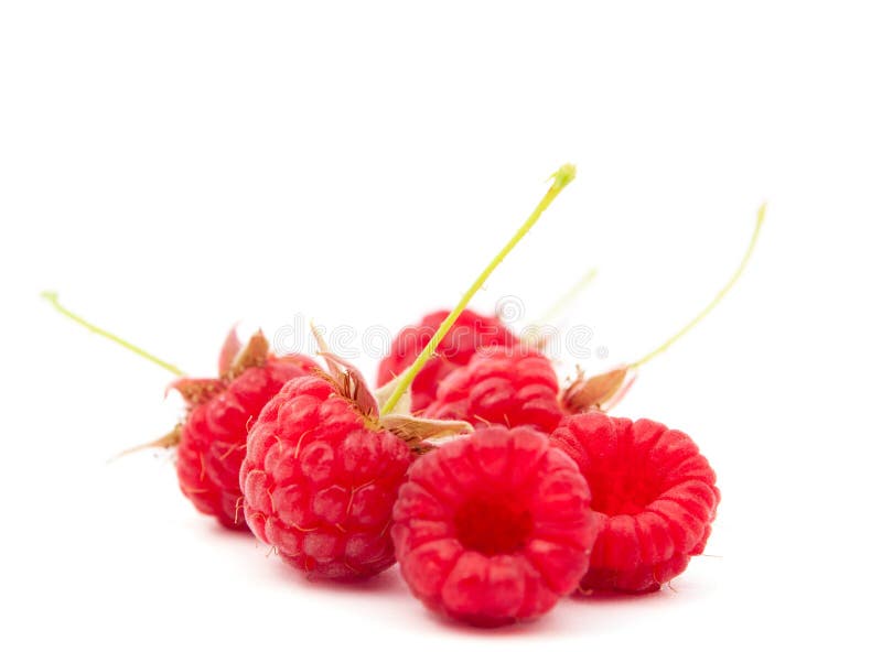 Red raspberries stock photo. Image of mint, idaeus, green - 19821222