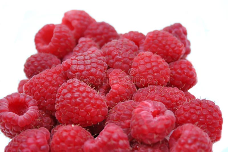 Red Raspberries stock image. Image of berries, produce - 2763591