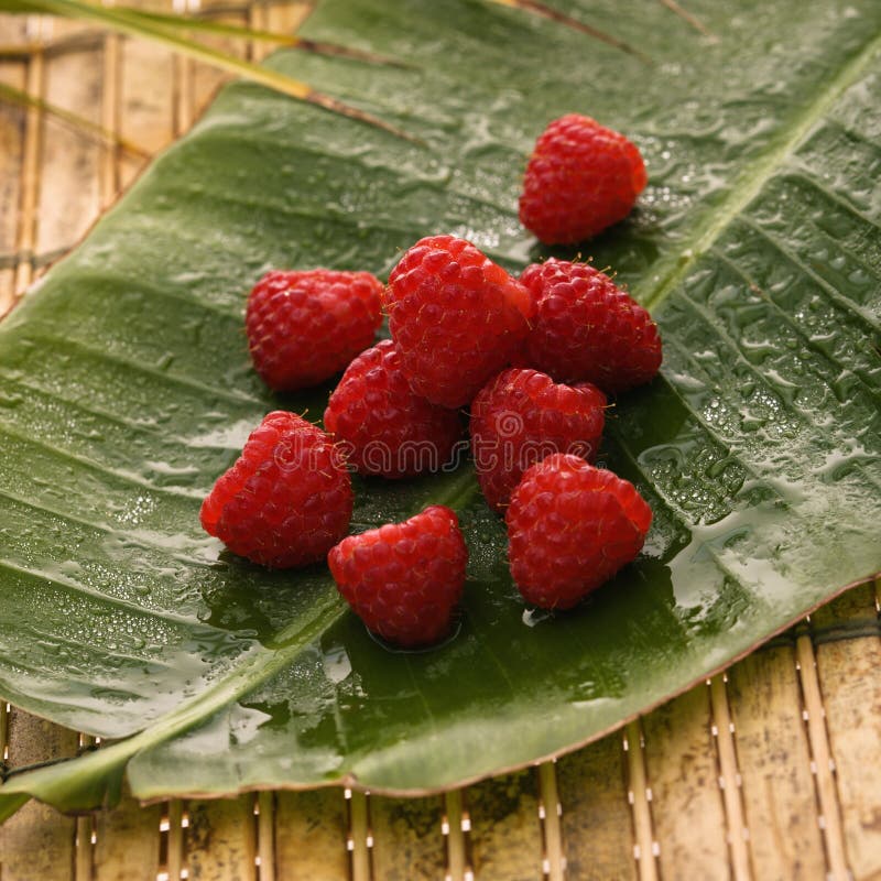 Red raspberries. stock image. Image of berries, raspberries - 3531717