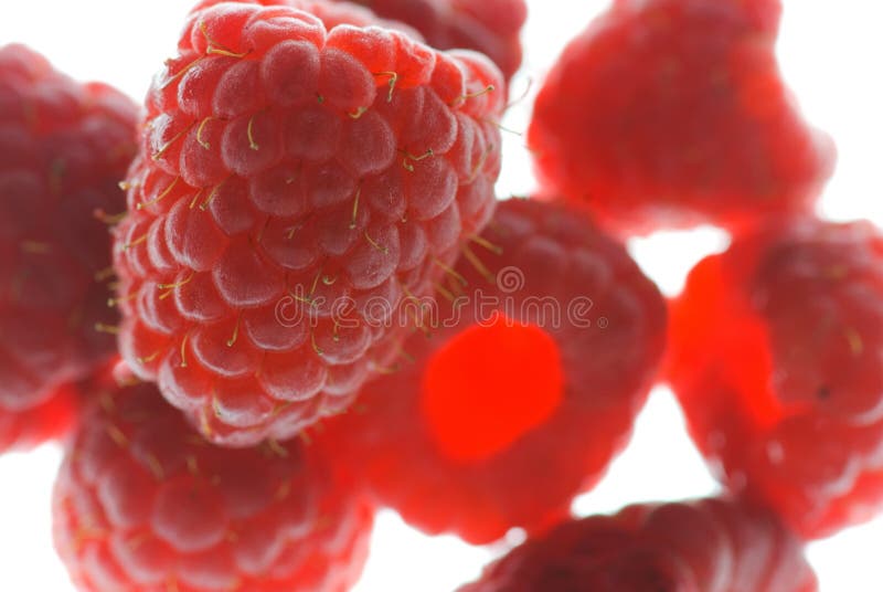 Red raspberries close up stock photo. Image of healthy - 2287312
