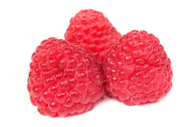 Red raspberries stock photo. Image of mint, idaeus, green - 19821222