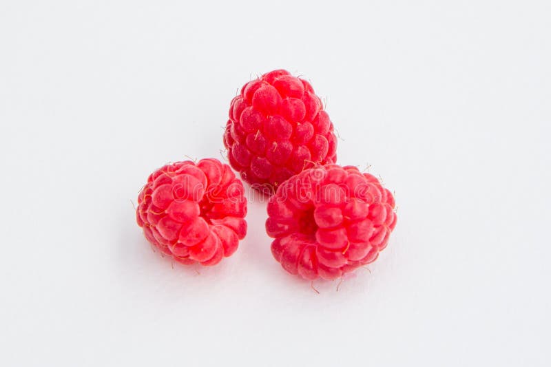 Red raspberries stock image. Image of colorful, nature - 42642015