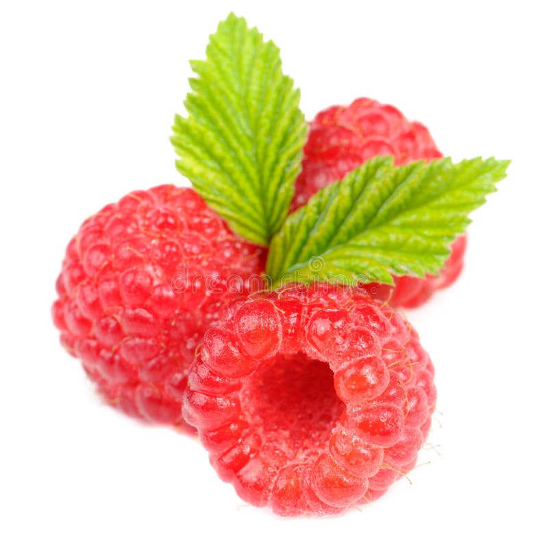 Red Raspberries with Green Leaves Isolated on White Background Stock ...