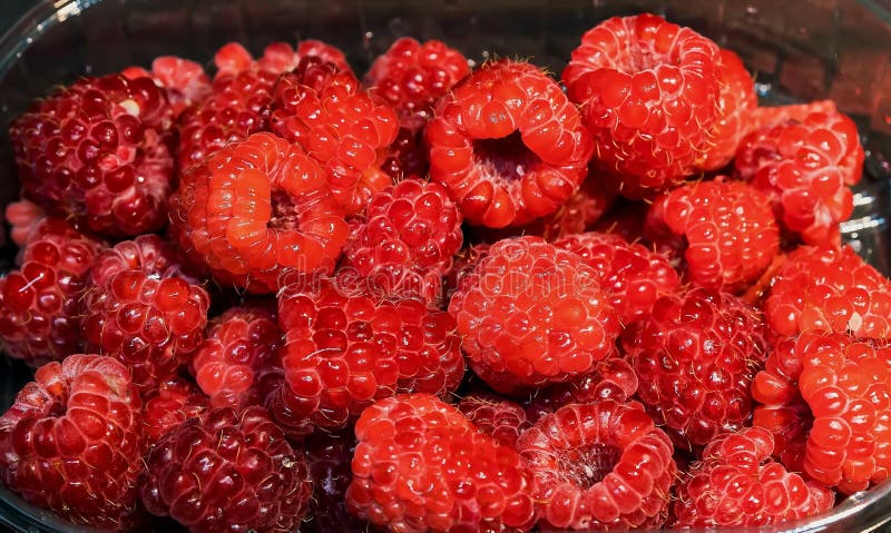 Red Raspberries in Plastic Package Stock Image - Image of raspberries ...