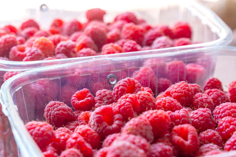 Red Raspberries in Plastic Package Box, Fruit Stock Image - Image of ...