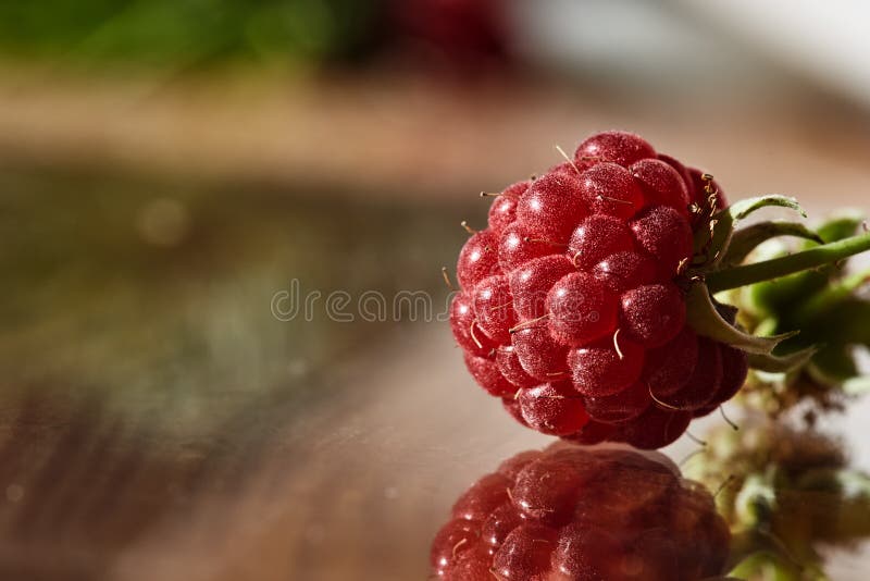 Red Raspberries on a Reflective Surface Glass. Fresh Raspberries on a ...