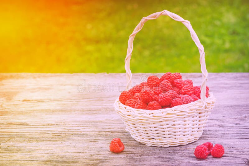 Red Raspberries. Ripe Berry in Wicker Basket. Raspberries in Basket on ...