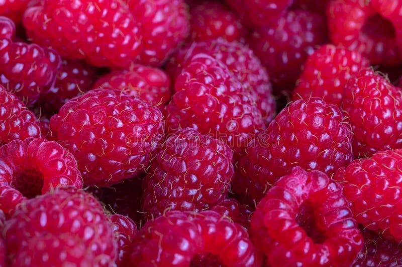 Red Raspberries Textured Background Stock Photo - Image of antioxidant ...